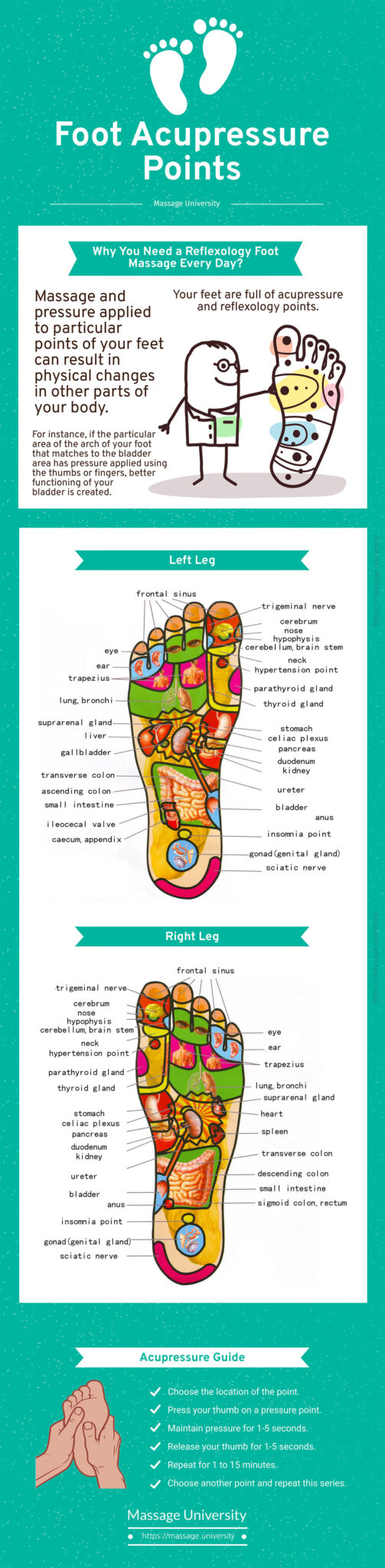 Foot Pressure Points (Infographic Chart)